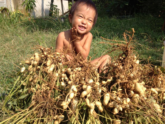 sumaya natural farm | 諸国良品 | 無印良品ネットストア